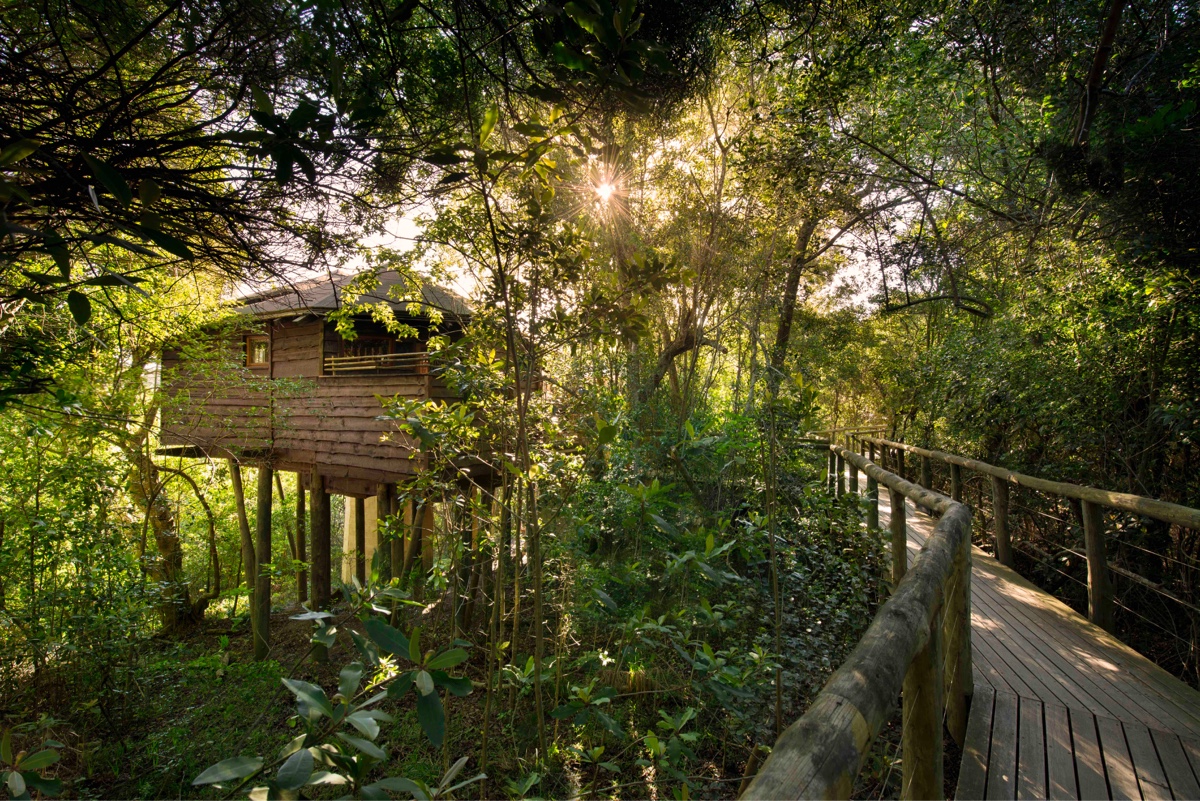 Treetop Suites - Tsala Treetop Lodge