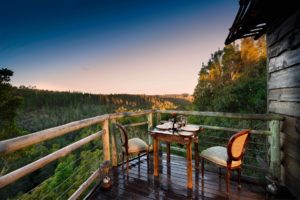 The Tsala Story - Tsala Treetop Lodge